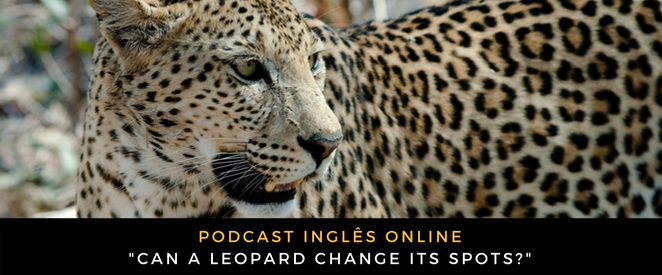 Podcast: Can a leopard change its spots? – Inglês Online